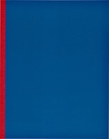 Kasboek 165x210mm 160blz 1 kolom rode rug assorti Opus Nederland BV